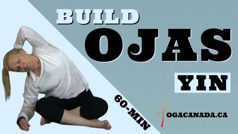 Yin - Build OJAS - Welcome to Yoga Canada: Yoga School, Yoga Shop, Yoga ...