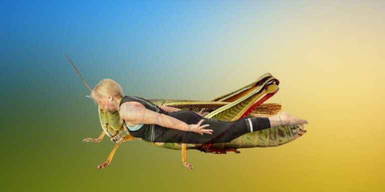 How To Do Locust Pose in Yoga | Shalabhasana - YogaCanada